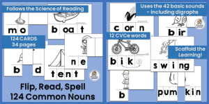 Explaining Common Nouns to Kids: A Fun and Simple Guide • Primarily ...